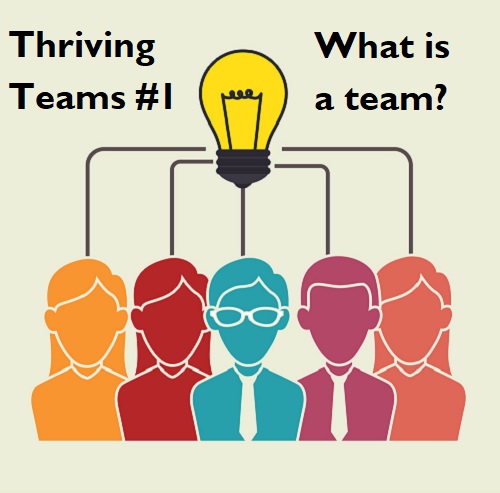 Thriving Teams #1: What is a team? – Sam Crome