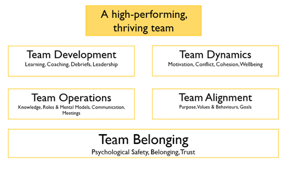 ‘The research behind high-performing teams and how to lead them in ...